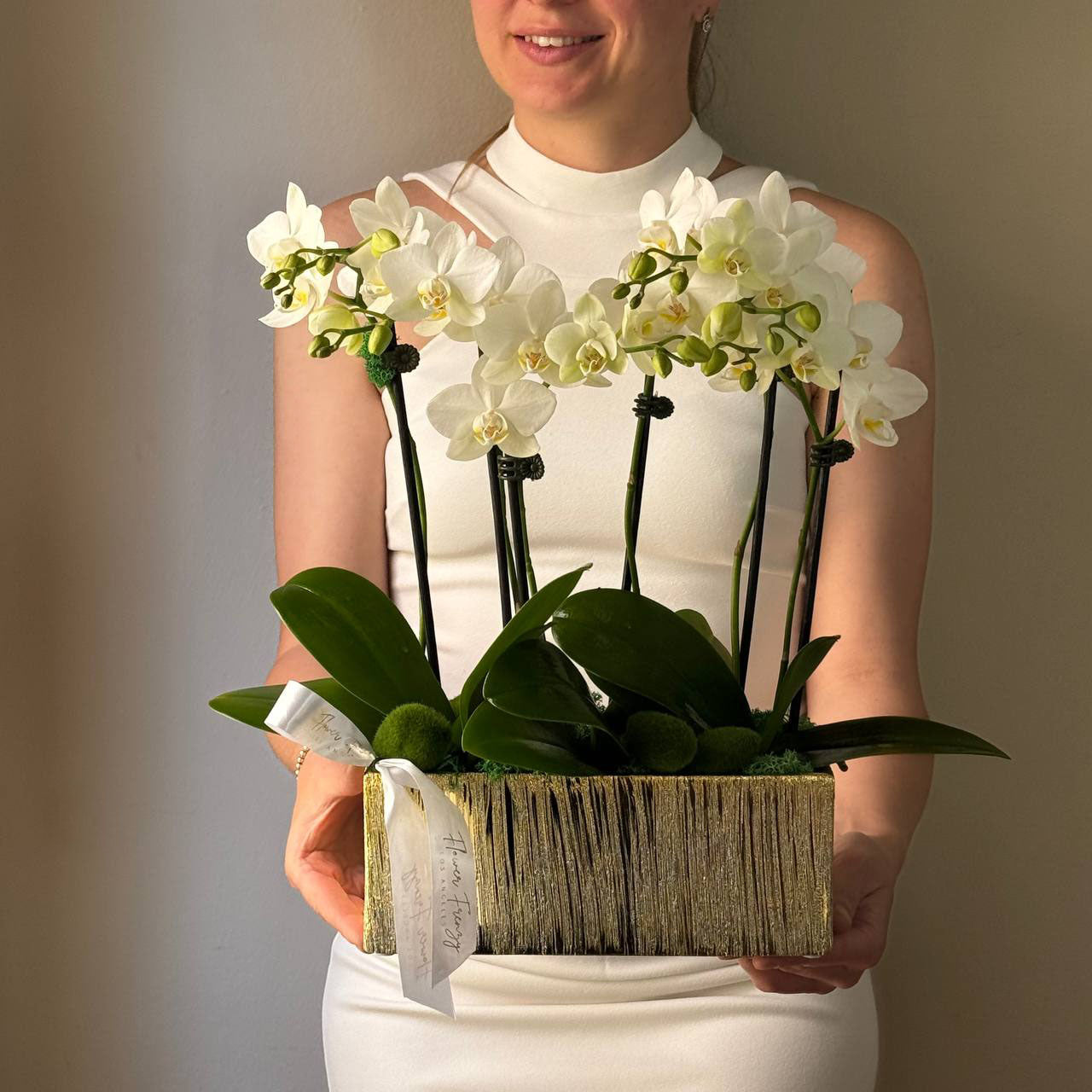 227. Zenith Orchid Ensemble – FlowerFrenzyLA